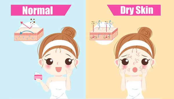 8 Skincare Tips to Help Dry Skin Feel its Best | Dermaskinshop SG